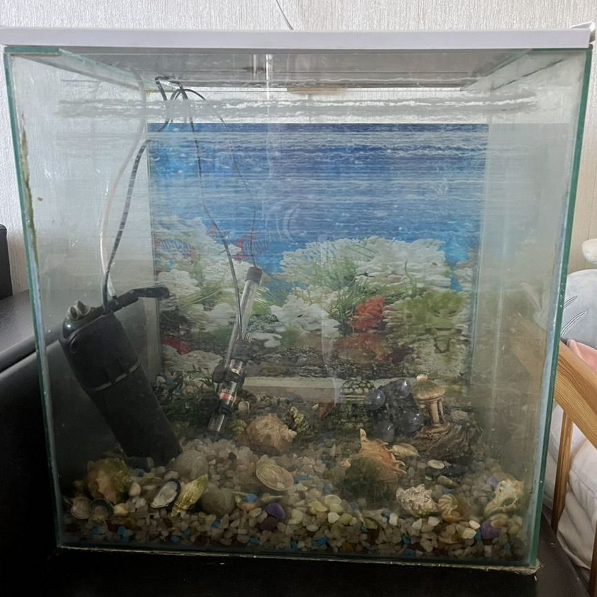 Аквариум с фильтром и нагревателем