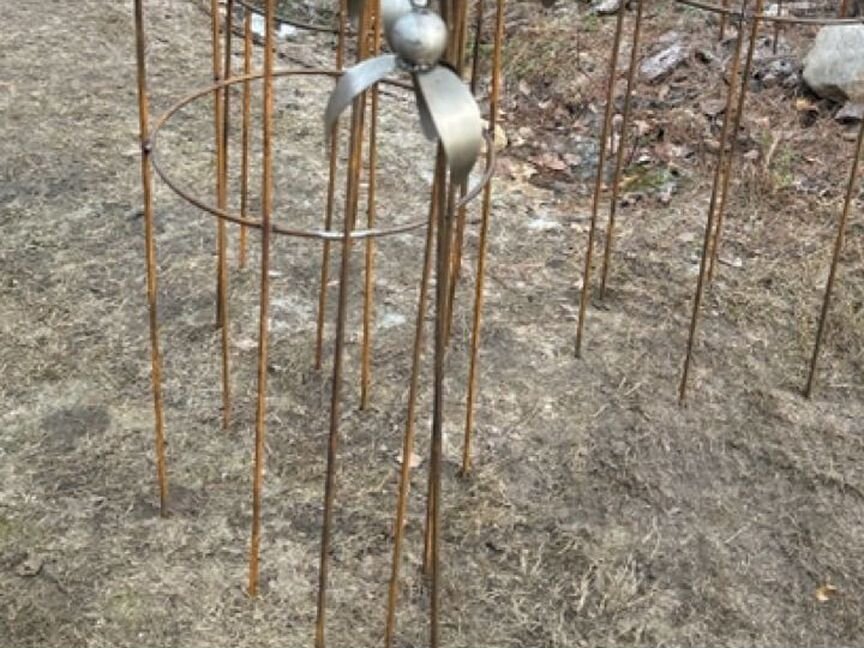 Три подснежника и большая жабка