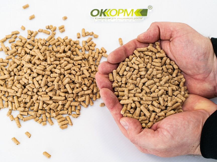Комбикорм для крс, птиц и других животных опт