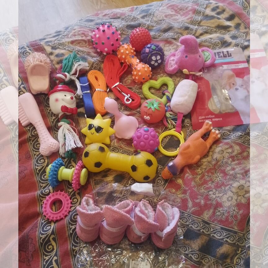 Нужности для собачки