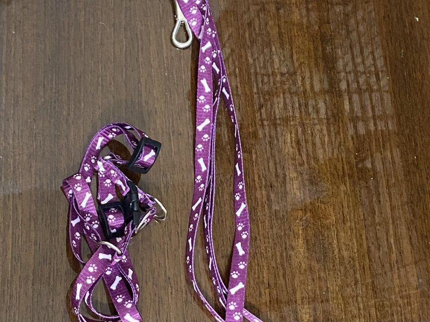 Шлейка для грызунов