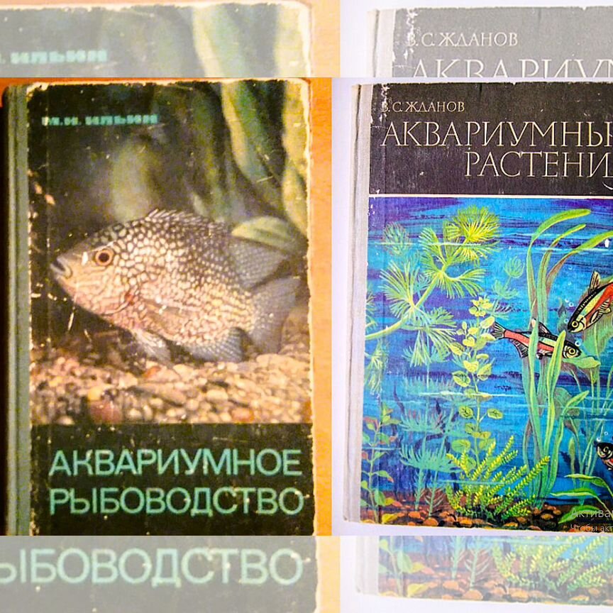 Аквариумное рыбоводство. Аквариумные растения