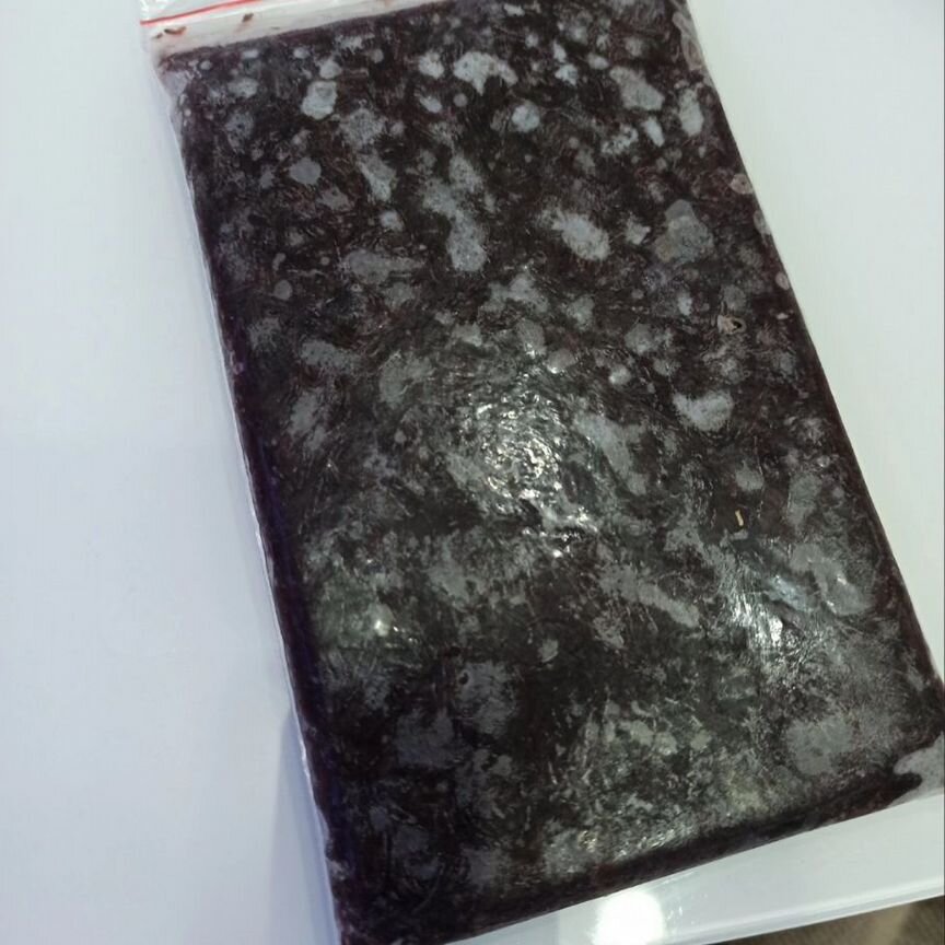 Мотыль замороженный