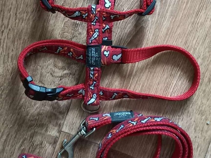 Шлейка + поводок rogs