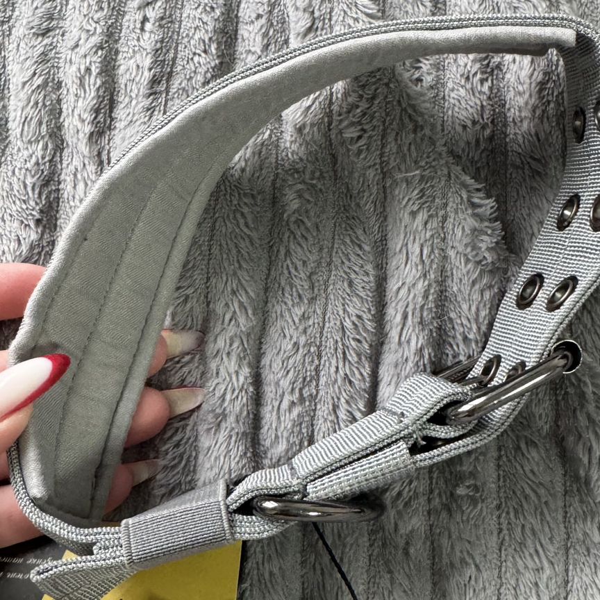 Ошейник для собак средних пород