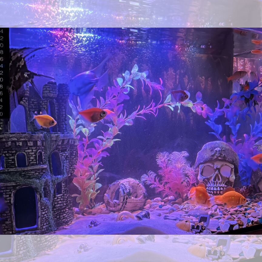 Аквариум с рыбками 60 литров