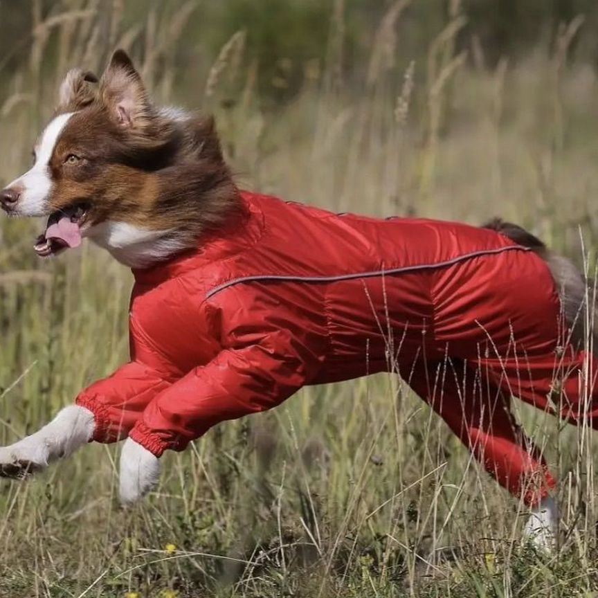 Дождевик для собаки Osso