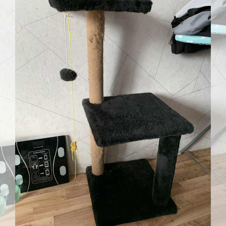 Когтеточка