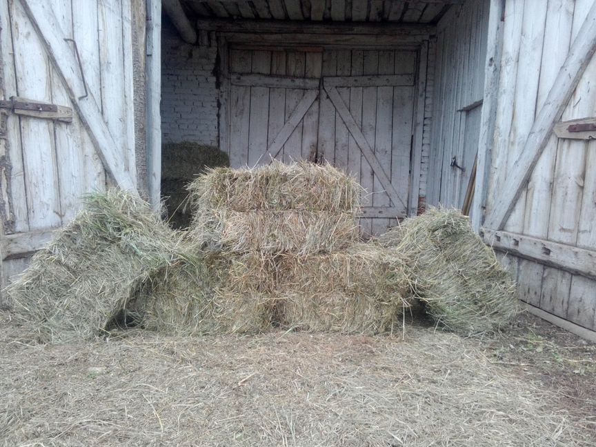 Сено в тюках луговое