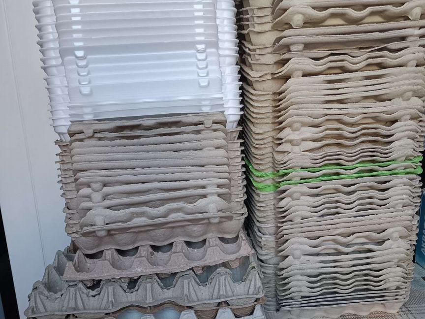 Лотки под яйцо