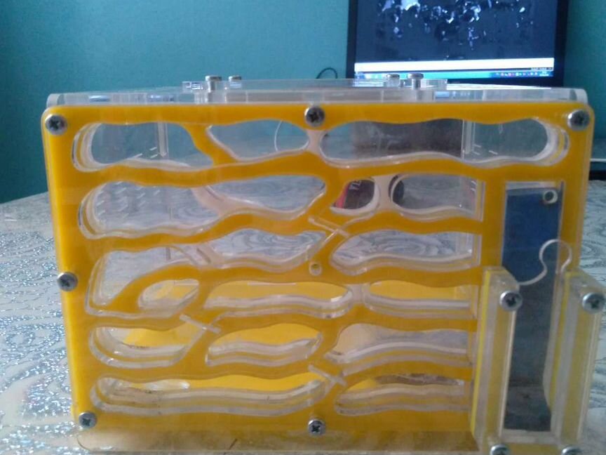 Формикарий бу