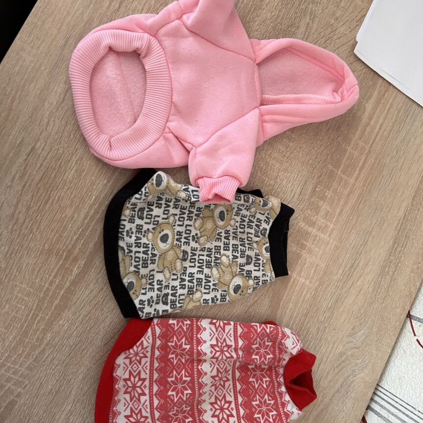 Одежда для кошек