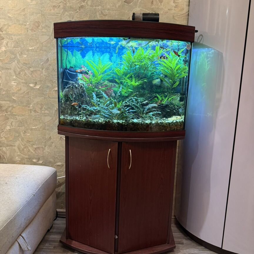 Аквариум с тумбой рыбамии и фильтрами