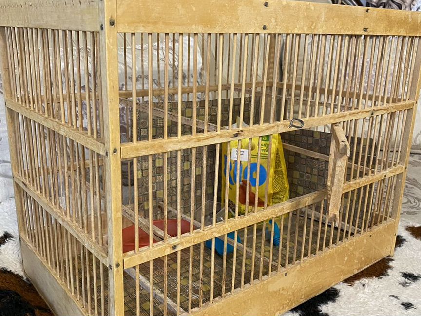Клетка для птиц из дерева