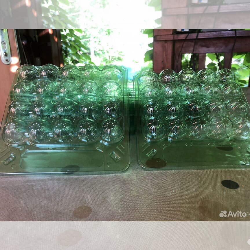 Лотки для перепелиных яиц