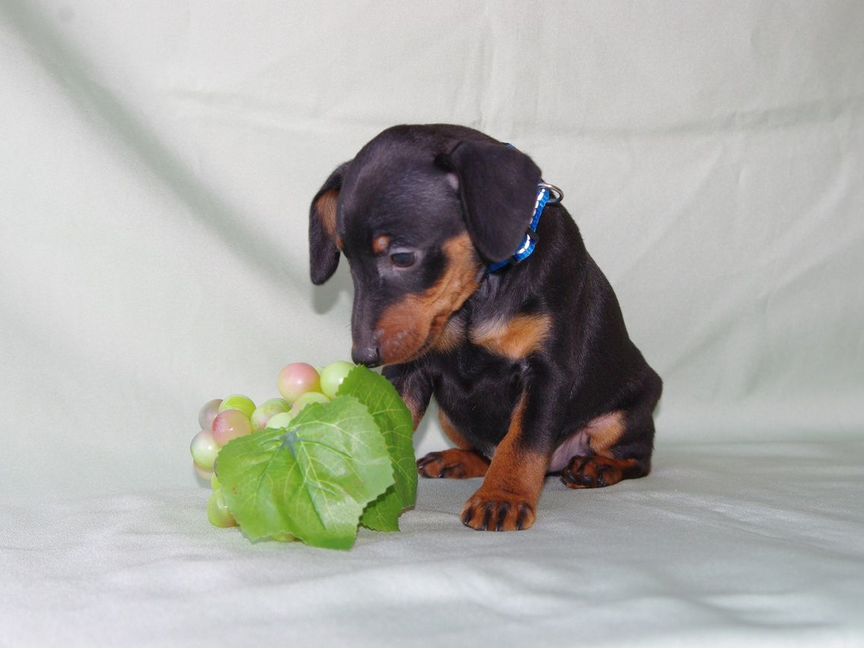 Парень ждёт