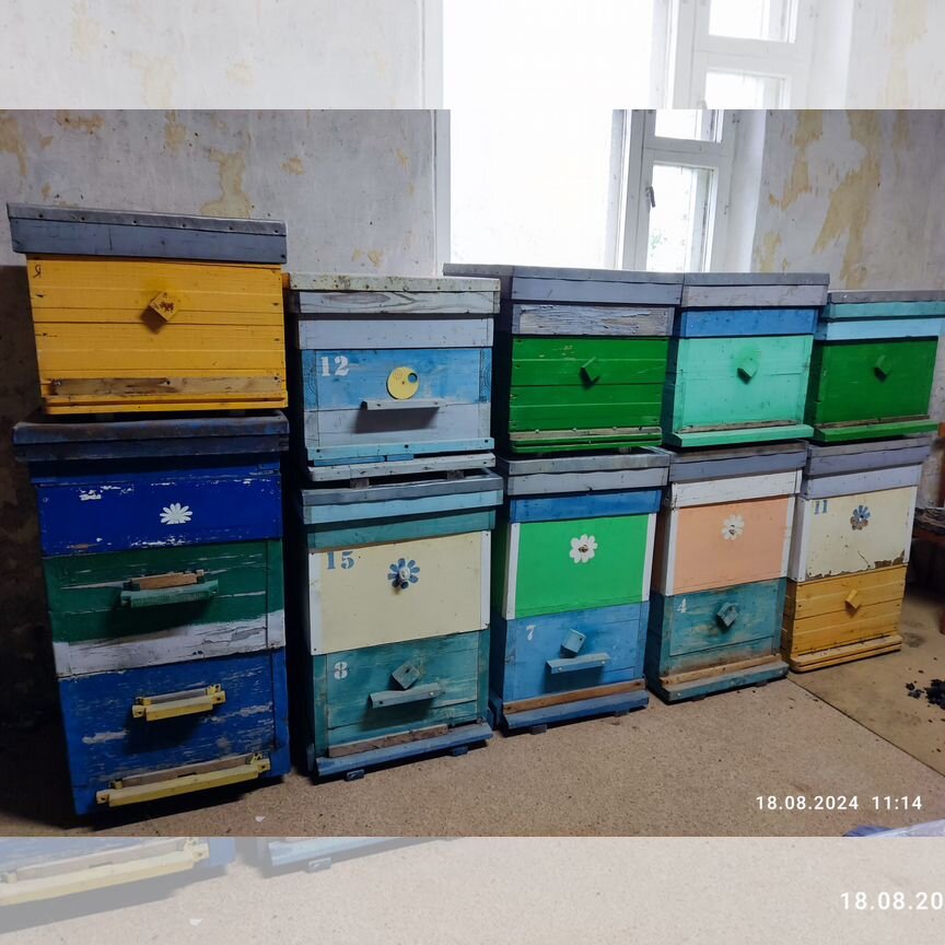 Улья деревянные 12 рамочные бу