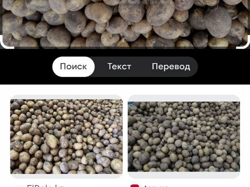 Мелкая картошка