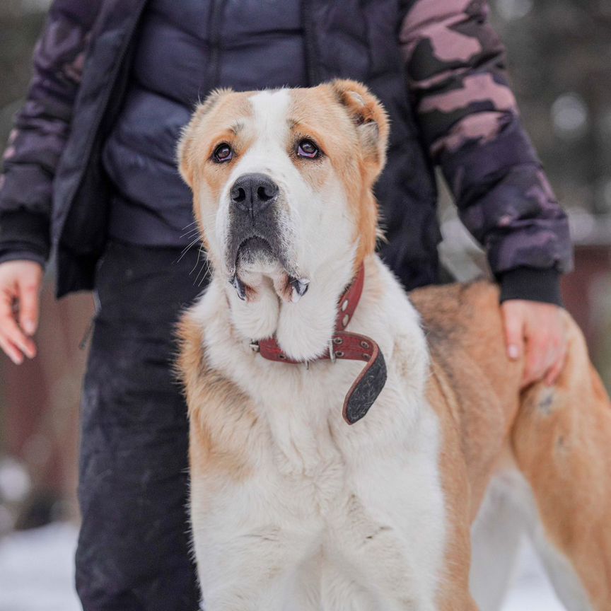 Гретта, невероятная красота