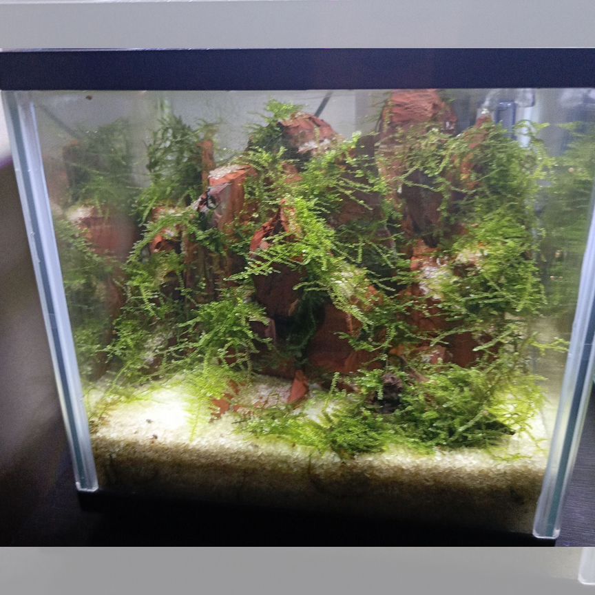 Аквариум 5 литров, готовый