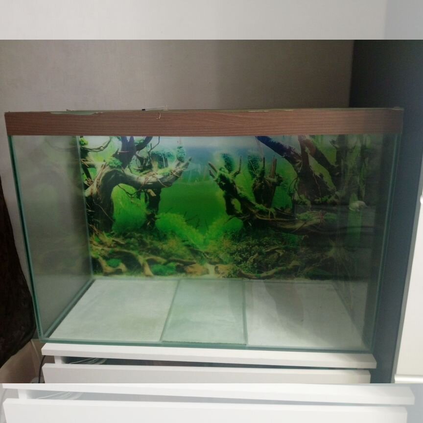 Аквариум вместе с фильтром и замком