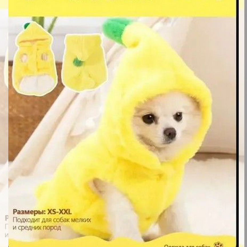 Костюм для собак S