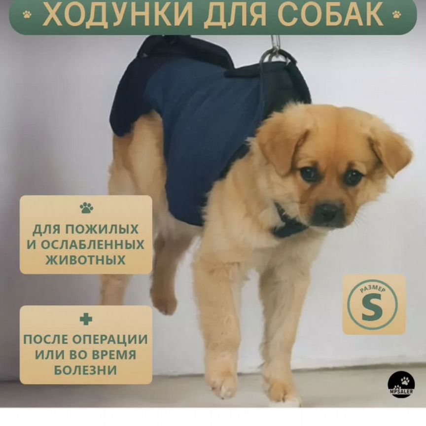 Ходунки для собак