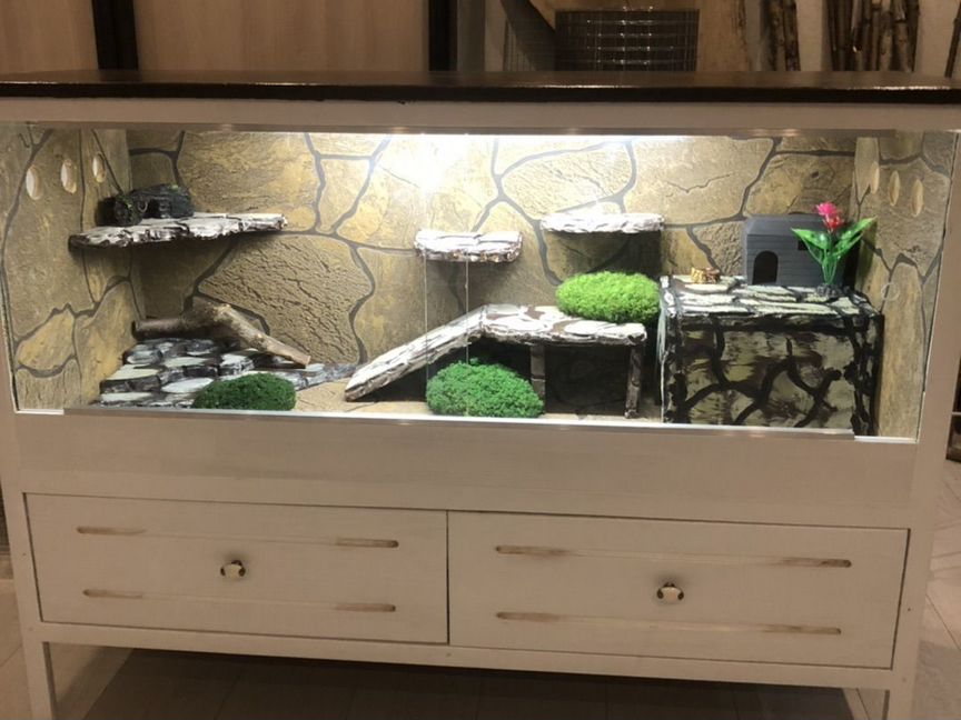 Террариум большой для рептилий