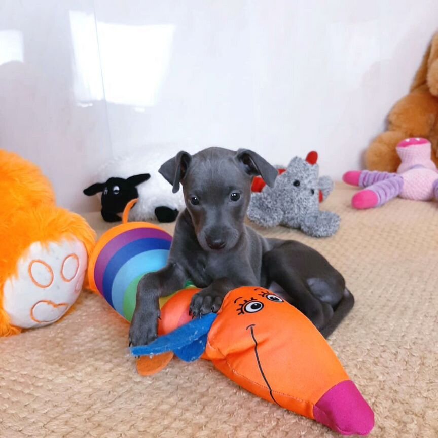 Вот такой пацан)