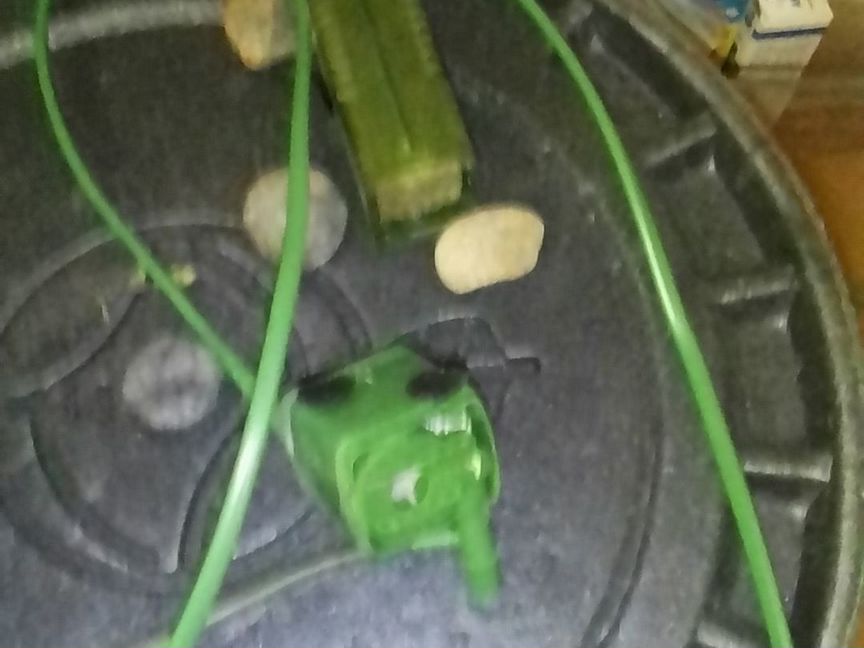 Аква, рыбки