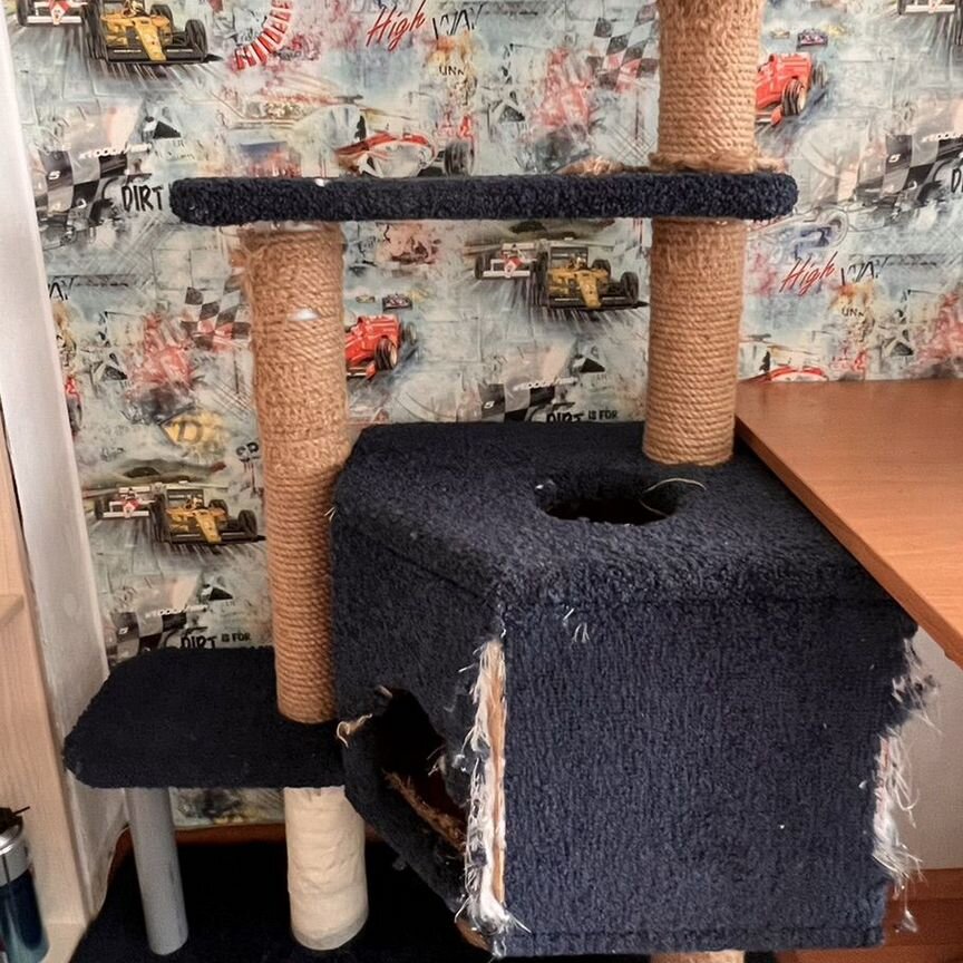 Когтеточка