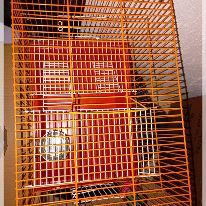 Клетка для грызунов