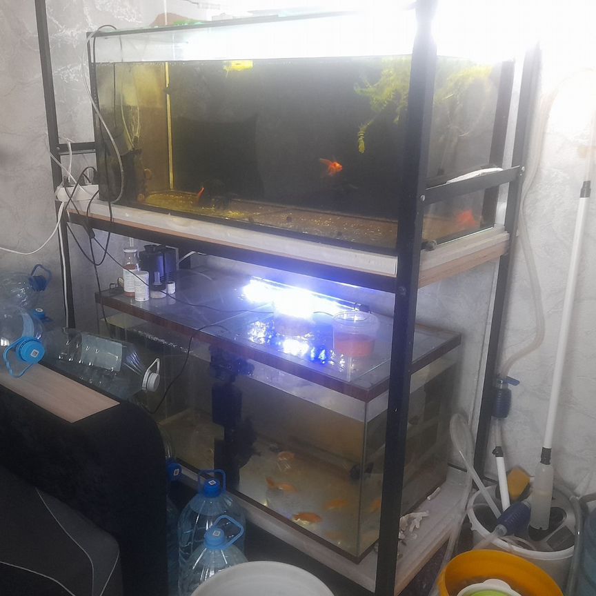 Продам 2 аквариума пр 200литров