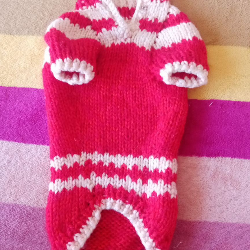 Свитер для кошки