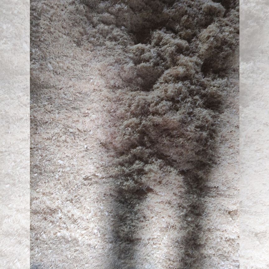 Сухие опилки