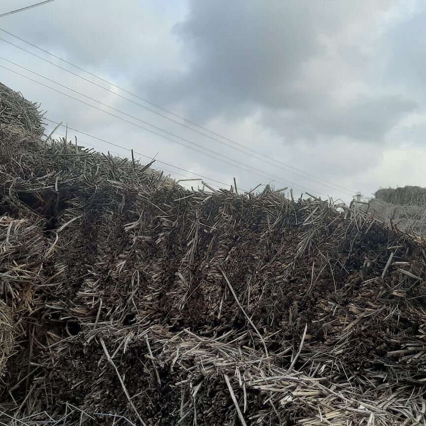 Продам сено в тюках прошлогоднее