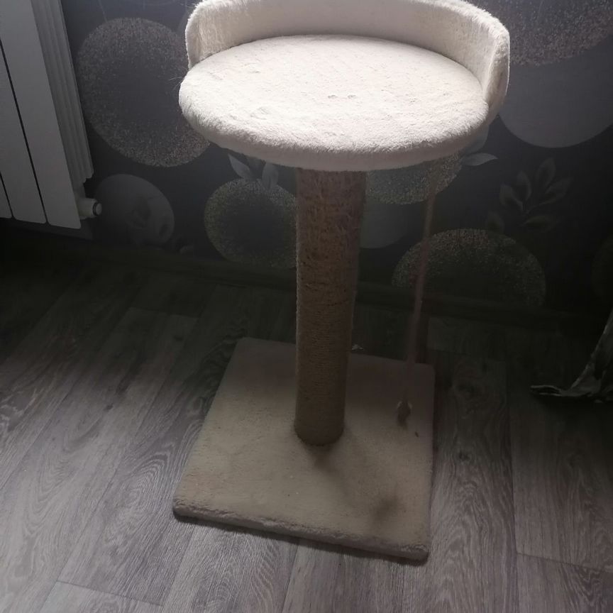 Когтеточка для кошки