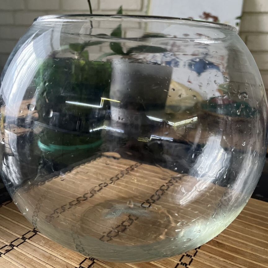 Аквариум круглый