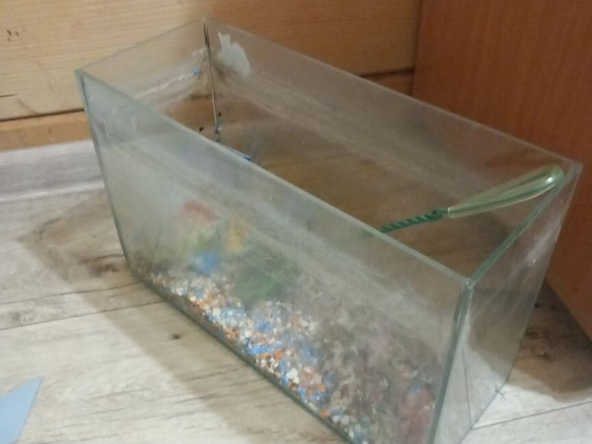 Аквариум