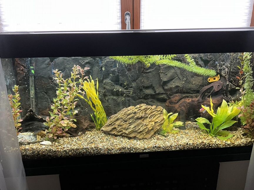 Аквариум juwel 240л