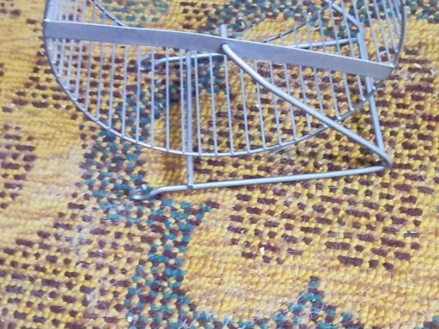 Колесо для хомяка или крысы и белки дэгу