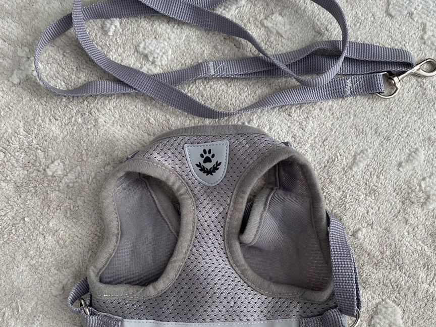 Шлейка для кошки