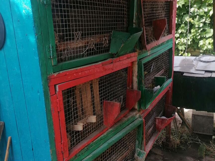 Крольчатникна на 6 отделений