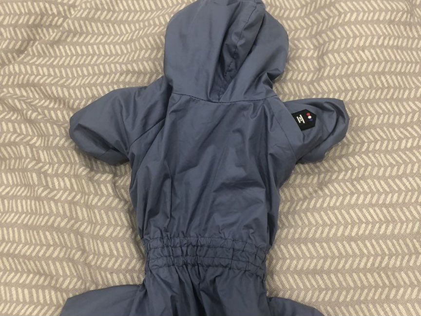 Костюм для собаки