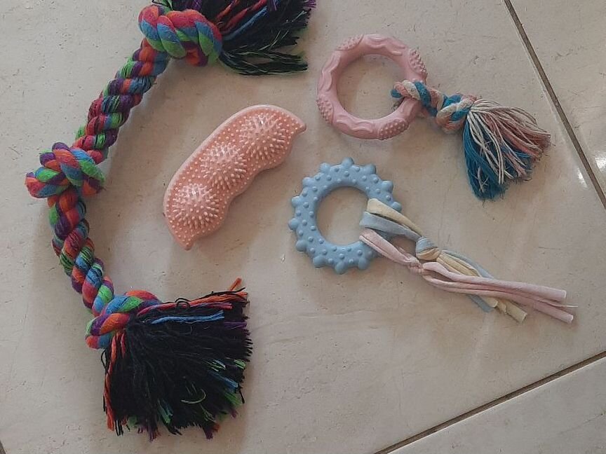 Игрушки для собак