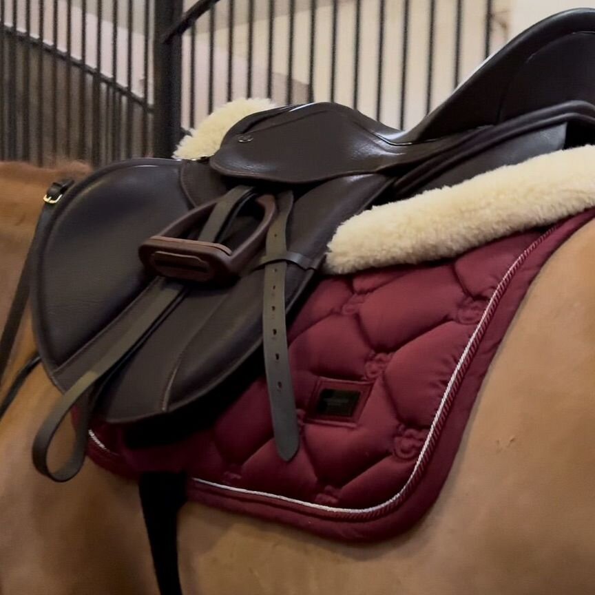 Вальтрап equestrian stockholm бордовый