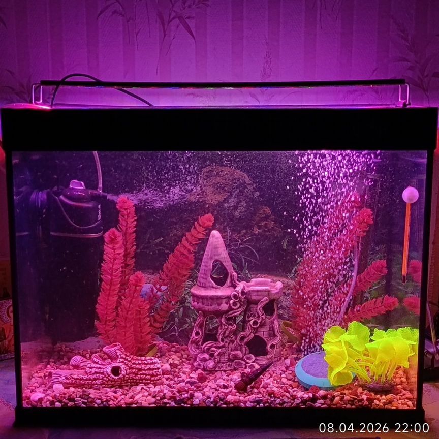 Аквариум 80-90 литров