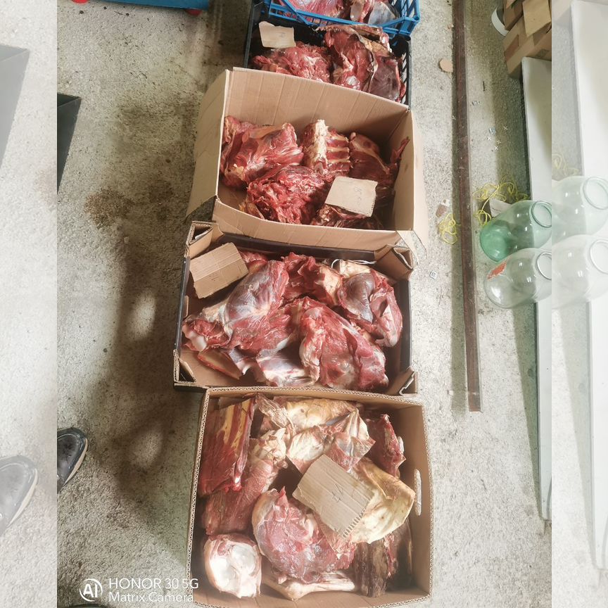 Мясо для собак говядины