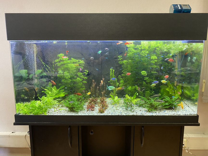 Акриловый аквариум 300 литров