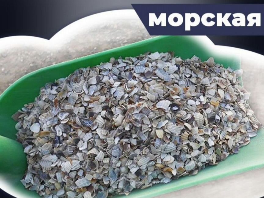 Ракушка серая 5/10 кг